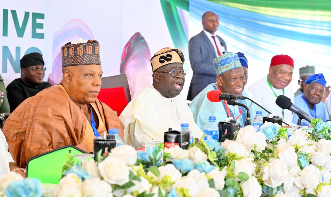 2027 Election: State House Press Statement - 'Cease immediately ...